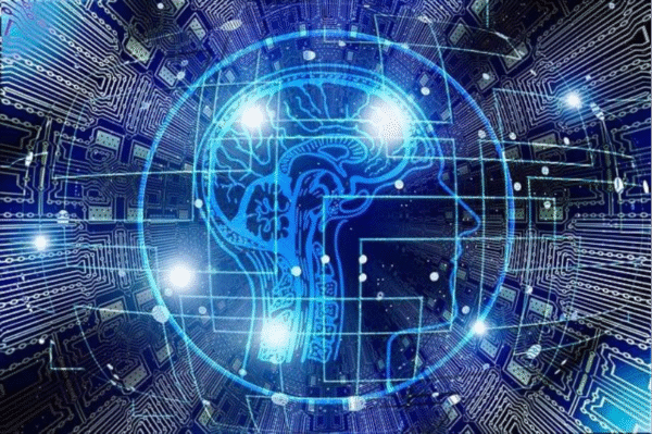 P300 Brainwave: Can EEG Improve Lie Detection Accuracy?